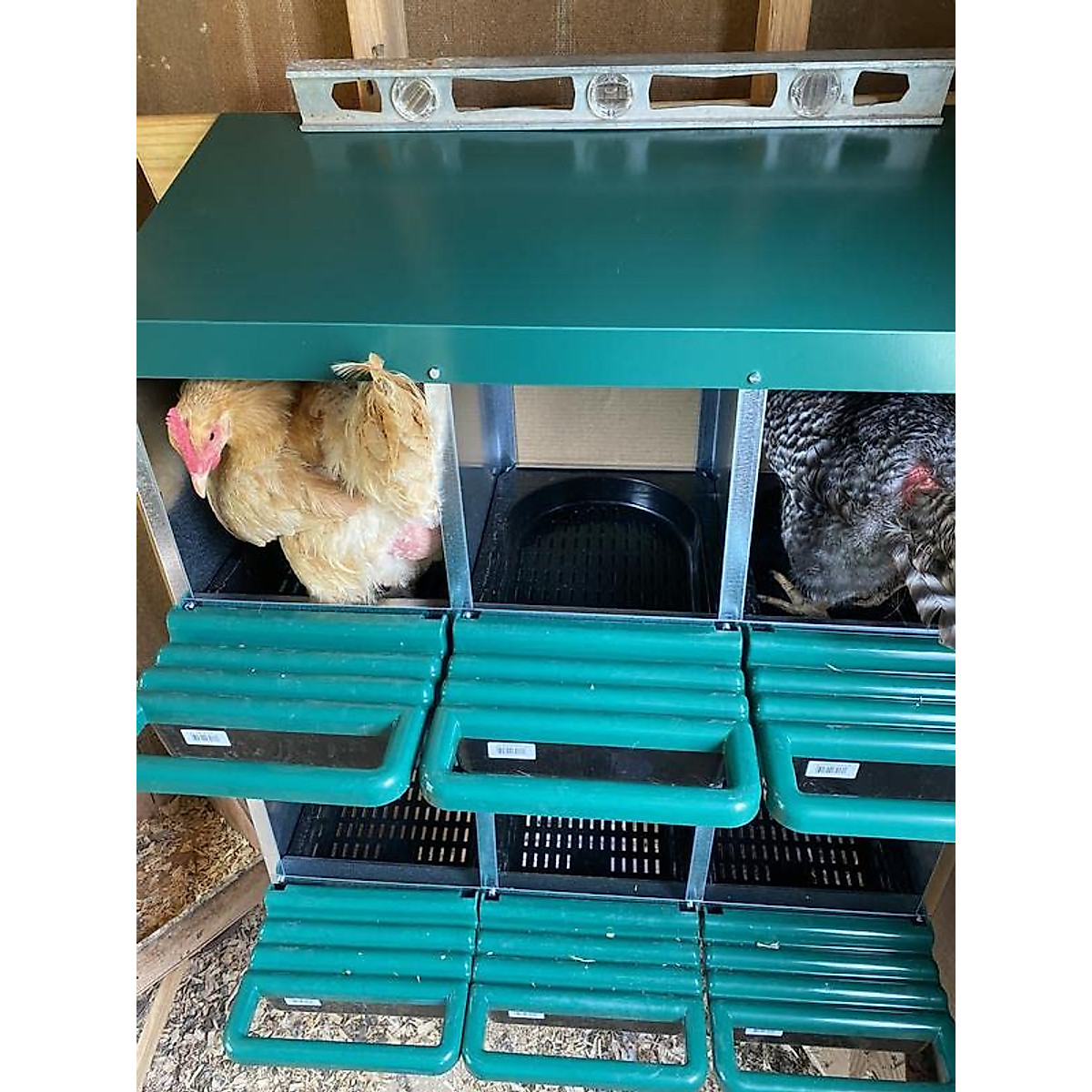 Homestead Essentials 3 Compartment Roll Out Nesting Box for Chickens | Heavy Duty Chicken Coop Nesting Box with Lid Cover to Protect Eggs (with Perch) | for Up to 15 Hens