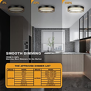 Flynix 12.5 Inch LED Flush Mount Ceiling Light Fixture, 26W, Super Bright 1700 Lumens, 3 Color 3000K/4000K/5000K, Dimmable Ceiling Lamp for Bedroom Hallway Bathroom Kitchen Laundry (Black Gold)