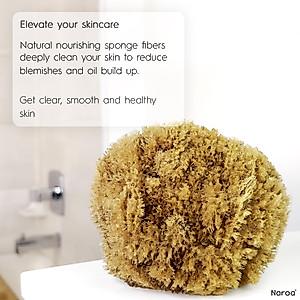 Naroa Exfoliating Natural Sponge for Bathing | Bath Sea Sponge for Healthy Skin | Unbleached Shower Body Scrubber Puff | Eco Friendly Plastic Free Sponge (Exfoliate - Medium)
