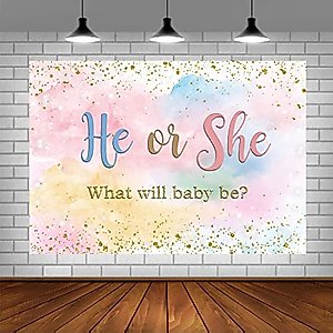 Lofaris Watercolor Clouds He or She Gender Reveal Backdrop Rainbow Boy or Girl Baby Shower Background Glitter Confetti Sprinkles Pink or Blue What Will Baby Be Party Decor Cake Table Supplies 5x3ft