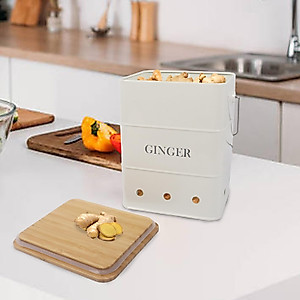 Eco-Friendly Bamboo Lid Metal Garlic Storage Box with Ventilated Countertop Vegetable Bin for Ginger, Potatoes, and Onions - Airtight, Portable Kitchen Organizer