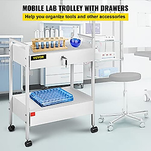 VEVOR Lab Cart, 2 Tiers Stainless Steel Utility Cart Medical Cart 2 Drawers Rolling Lab Cart White Paint Serving Cart with 360° Casters for Laboratory Hospital Dental Office Salon Beauty