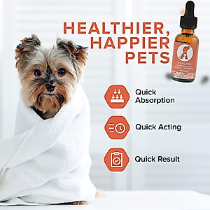 Stirling Powerful Hemp Oil for Dogs and Cats - Helps Relieve Pain and Sore Muscles - Reduces Dog and Cat Separation Anxiety - Calming - Relief - No Drowsiness - 250mg