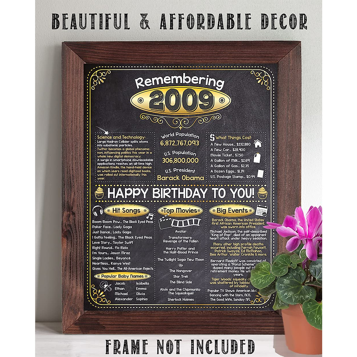 15th Birthday Party Decorations for 15th Birthday (Fifteen) - Remembering The Year 2009 - Party Supplies - Gifts for Men and Women Turning 15 - Back In 2009 Birthday Card 11x14 Unframed Print
