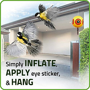 De-Bird Balloon Bird Repellent - 3-Pk - Fast and Effective Solution to Pest Problems - Scary Eye Balloons Keep Birds Away from House, Garden Crops, Swimming Pools & More