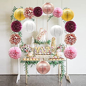 Burgundy Pink Rose Gold Hanging Party Decorations, 15Pcs Tissue Paper Lanterns and Paper Pom Poms Flowers for Graduation Wedding Birthday Bridal Shower