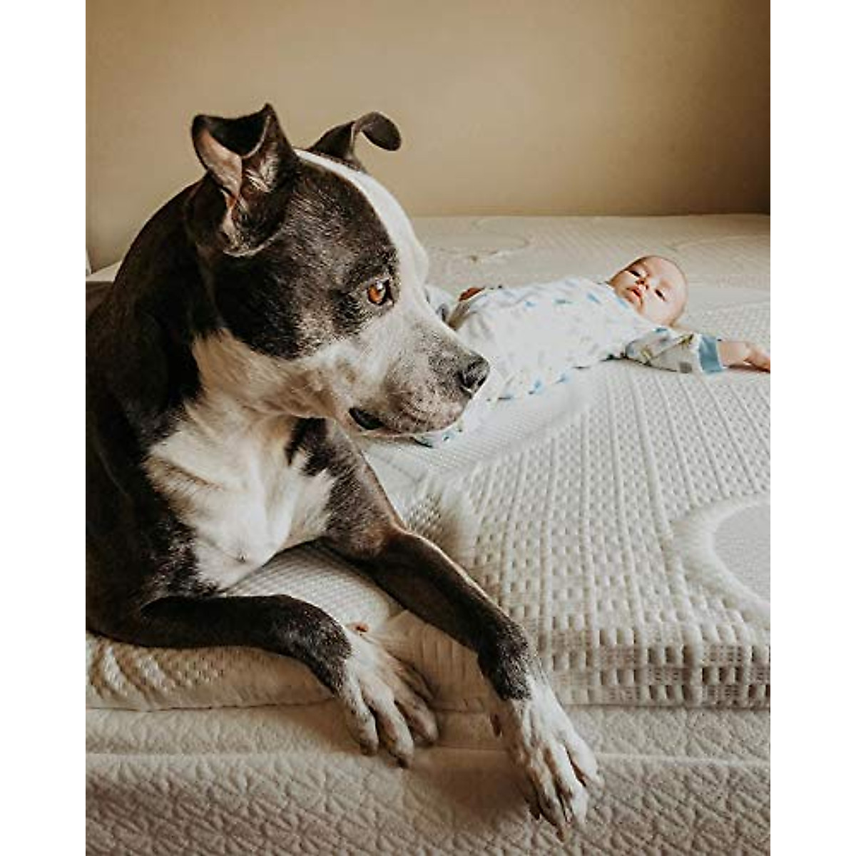 Perfect Cloud Gel-Infused 2-inch Cooling Memory Foam Mattress Topper Pad - Pressure Relieving (King)