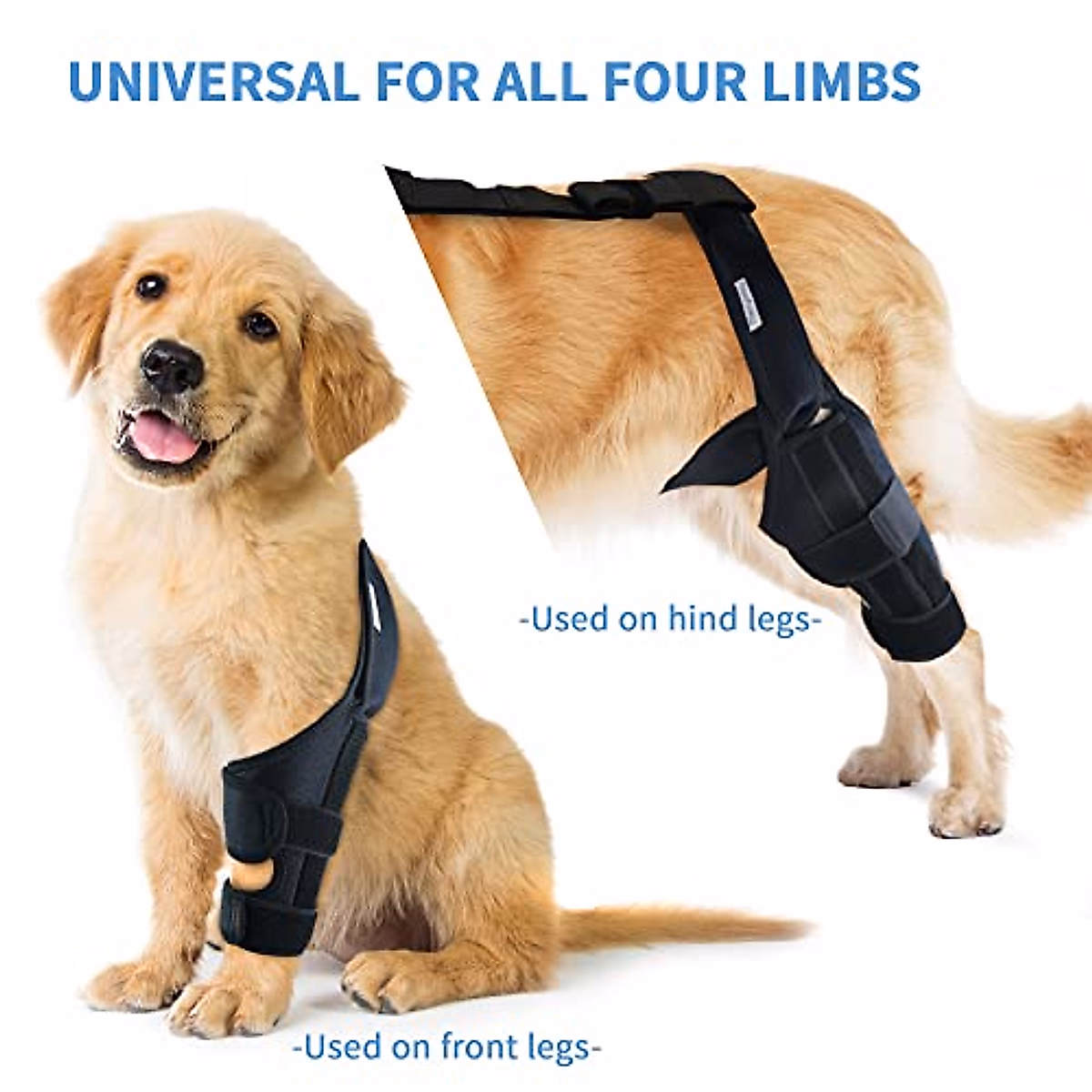 MerryMilo Adjustable Pet Knee Brace For Support With Cruciate Ligament Injury, Joint Pain And Muscle Sore, Better Recovery With Dog ACL Rear Leg Brace, (Size: M)