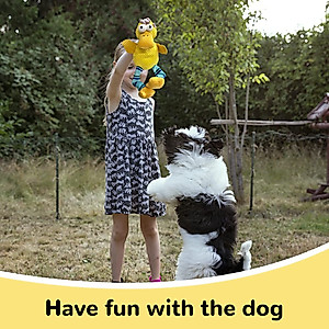 TOTARK Squeaky Dog Plush Toys, Durable Stuffed Dog Chew Toys for Puppy Teething, Interactive Soft Duck Dog Toys with Activity Legs & Squeaker for Small Medium Large Dogs