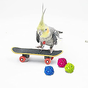 5 Packs Bird Toys Parrot Training Toys Parrot Wooden Block Puzzles Toy Bird Basketball Toy Small Sepak Takraw Bird Skateboard Bird Stacking Toy for Birds Parrot Training