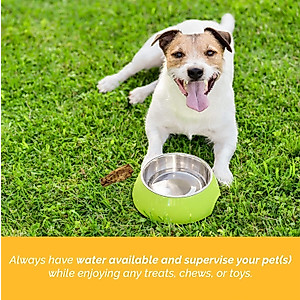 123 Treats Pig Ears for Dogs – 100% Natural Long Lasting Pork Dog Chews with Delicious Dog Chew Treat, Ideal for All Chewers, Healthy Large Pig Ears (One Pack of 30)