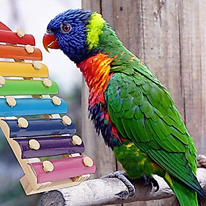 Balacoo 1set Bird Xylophone Toy Parrot Hanging Wood Music Toys Chicken Coop Pecking Toy Parrot Parakeets Molar Tearing Toys for Parrots Parakeets
