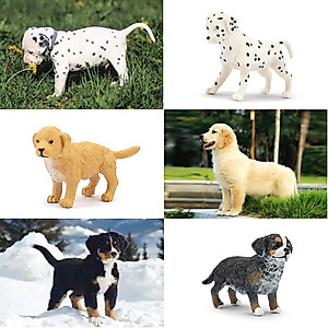 Toymany 12PCS Mini Dog Figurines Playset, Realistic Detailed Plastic Puppy Figures, Hand Painted Emulational Tiny Dogs Animals Toy Set, Cake Toppers Christmas Birthday Gift for Kids Toddlers