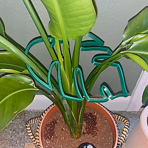 Monstera Leaf Plant Support | Unique & Aesthetic Monstera Plant Support | Keeps Plants Tame & Growing Vertical | Made in USA (Green)