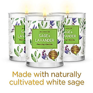 MAGNIFICENT 101 Pure Sage + Lavender Smudge Set of 3 Candles for House Energy Cleansing, Banish Negative Energy I Purification and Chakra Healing - Natural Soy Wax Candles for Aromatherapy