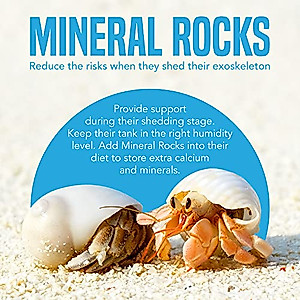 JOR Mineral Rocks for Hermit Crabs, Calcium-Rich for Stronger Shells and Pet’s Vitality, for Ideal Tank’s Humidity Level, Terrarium Décor, 2 oz.