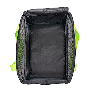 Buckle-Down Disney, Toy Story, Buzz Lightyear Spaceship Bag, Pet Carrier, Polyester Canvas, (IPC-DYANS)