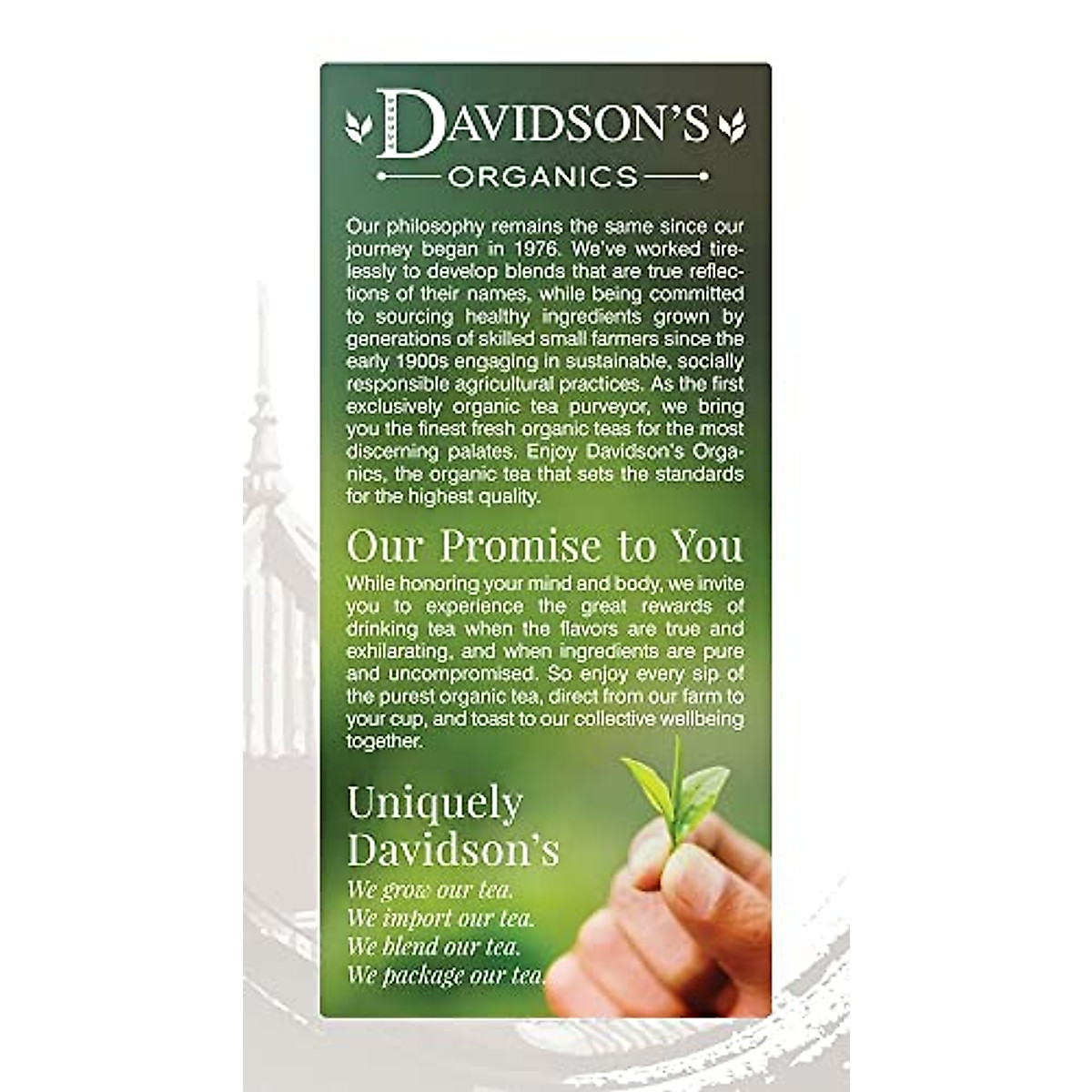 Davidson's Organics, White Peach, 25-count Tea Bags, Pack of 6