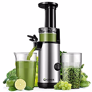 Compact GDOR Masticating Juicer with Powerful 60NM DC Motor, Low Noise, Space-Saving Cold Press Juice Exrtractor Machines, Easy to Clean Slow Juicer, Brush Included, 20 Oz Juice Cup, BPA-Free, Sliver