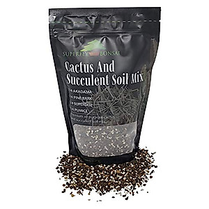 Succulent & Cactus Soil Mix - Premium Pre-Mixed Fast Draining Blend (2.5 Dry Quarts)