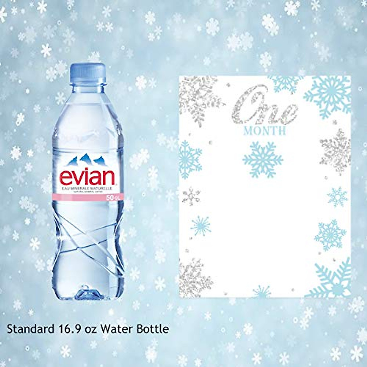 Winter Onederland Birthday Decorations Snowflake First Birthday Photo Banner - Milestone, Monthly Newborn to 12 Months Banner Clips for Snowflake Themed 1st Birthday Party Decorations