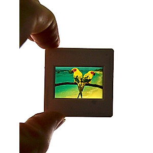 Eisco Labs Complete Optical Bench and Attachment Set, with 20 Lab Activities