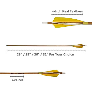Letszhu Archery Carbon Arrows 500 Spine with Helical Real Feathers and Removable Tips for Compound Recurve Bow (6 Pack)