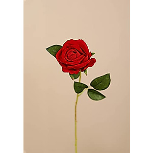 Luyue 10 Pack Artificial Velvet Roses Fake Red Rose Silk Flowers with Stem Floral Gift for Wedding Arrangement Party Home Decor-Red