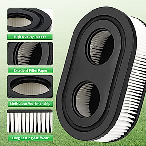 Air Filter Spark Plug for Troy-Bilt TB110 TB115 TB200 TB230 TB330 TB370 Walk Behind Lawn Mower