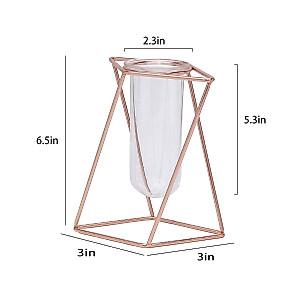 Aoderun Glass Flower Vase with Metal Stand Modern Geometry Desktop Glass Planter Indoor Hydroponics Plants for Home Office Garden Wedding Decor (Gold, M)