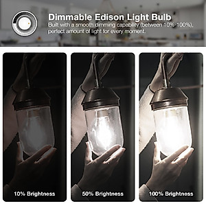 DAYBETTER 12 Pack Vintage LED Edison Bulbs, E26 Led Bulb 60W Equivalent, Dimmable Led Light Bulbs, High Brightness 800 LM Neutral White 4000K, ST58 Antique Filament Bulbs, Clear Glass Style for Home