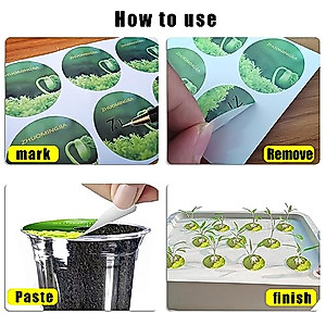 ZHUOMINGJIA 240 Pcs Seed Pot Labels PVC Stickers for Mark Plants and Understand Plant Growth,The Minimum Size of The Hole is 9mm for Aerogarden Seed Pods Garden Plant Grow Basket Vegetables,Green