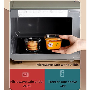 Ivymei 2 Pack Mini Square Round Glass Containers with lids,Small Floral Food Storage Contaiers Glass Food Jars for Food Portion,Dipping Sauce,Snack,Yogurt,Leakproof,Microwave Freezer Safe