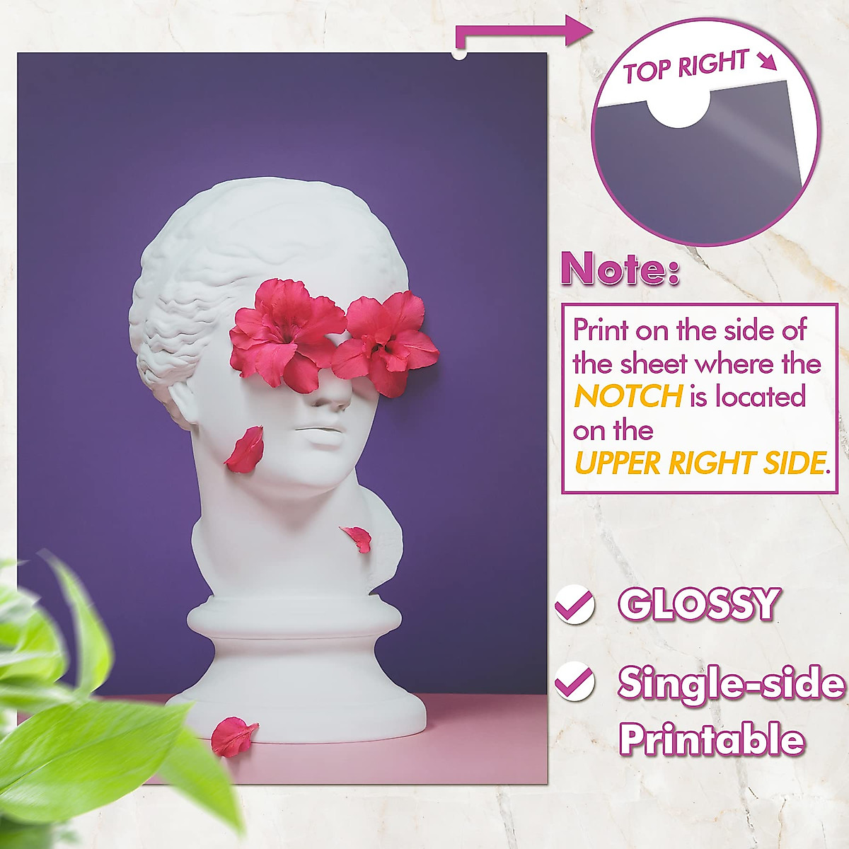 Koala Glossy White Film for Inkjet Printers, Waterproof and Tearproof Printer Paper, Single-Sided Printable Film, 8.5 x 11 Inch 20 Sheets, for Exceptional Image Reproduction