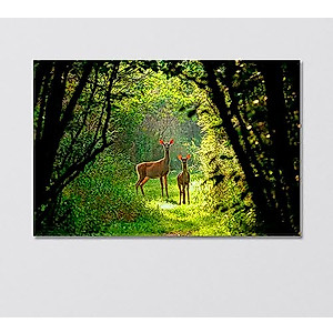 White Tailed Deer with a Fawn in the Forest Canvas Print 1 Panel / 36x24 inches