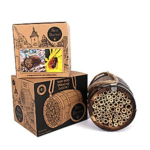 Wildlife World Mason Bee Barrel - Natural Hanging Habitat for Pollinators, Increases Productivity in Your Garden (Brown)