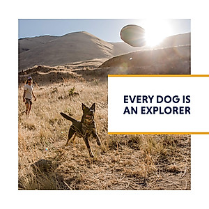 Ruffwear, Polar Trex Waterproof Winter Dog Boots with Rubber Soles for Cold Weather, Obsidian Black, 2.25 in (2 Boots)