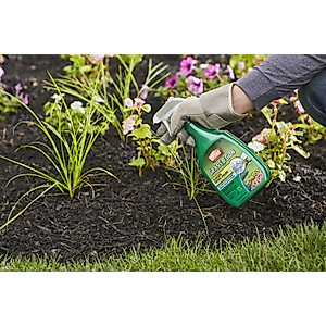 Ortho 0438580 Grass B Gon Garden Grass Killer Ready-to-Use, 24-Ounce (2 Pack)