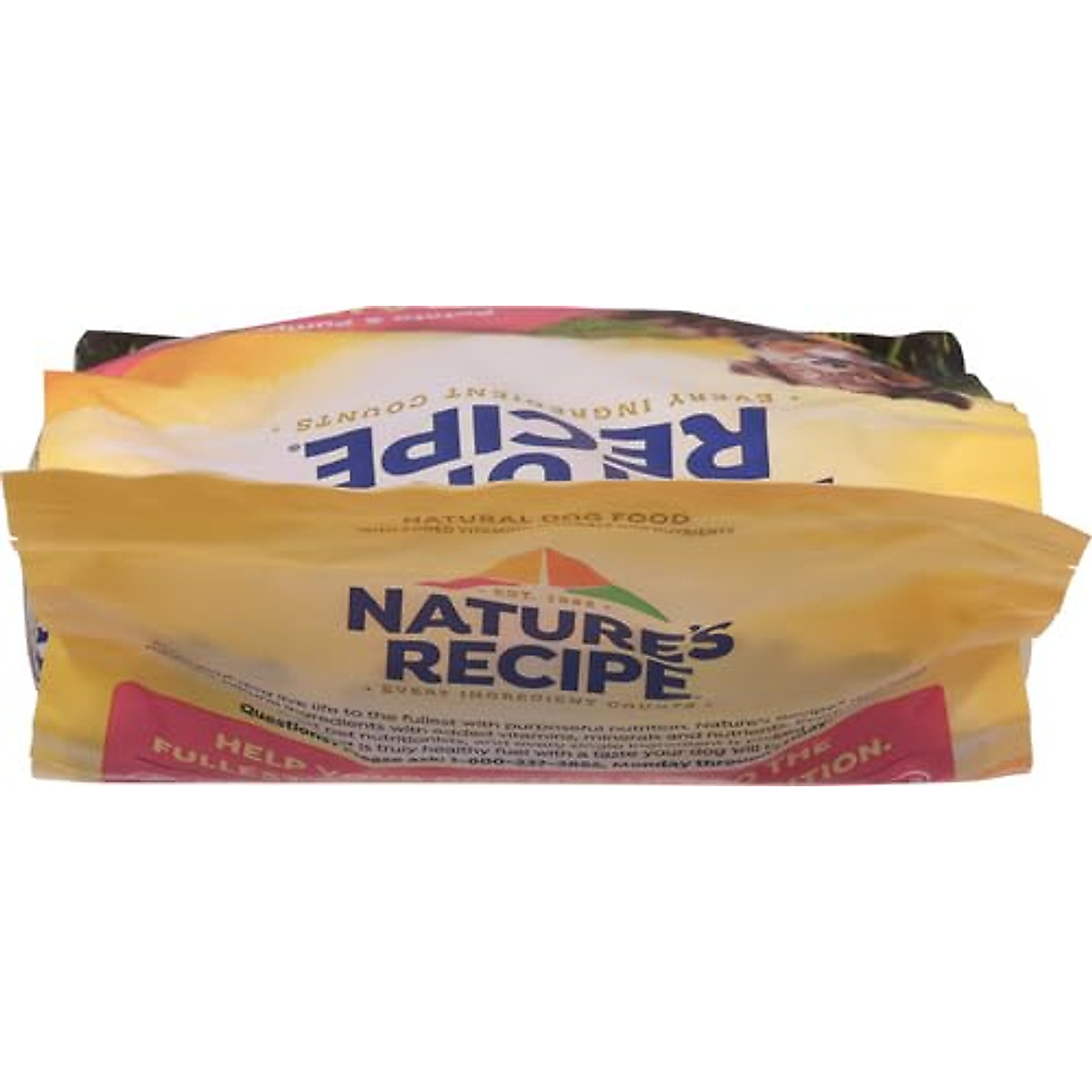 Nature′s Recipe Grain Free Salmon, Sweet Potato & Pumpkin Recipe Dry Dog Food, 4 lb. Bag
