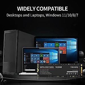 fanxiang S201 512GB M.2 SSD 2280 SATA III 6Gb/s Internal Solid State Drive, SLC Cache for Speed Boost, Read Speed up to 550MB/sec, Compatible with Laptop and PC Desktops(Black)