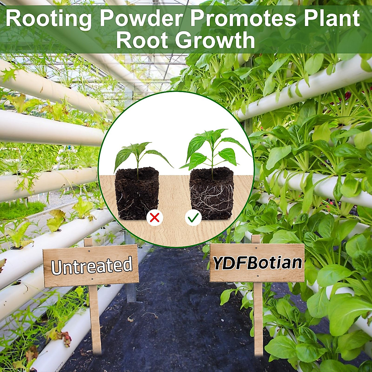 YDFBotian Rooting Powder, 8.8 oz, Plant Rooting Hormone, Rooting Hormone for Cuttings, Suitable for Violets, Azaleas, Rose, Geraniums, Coleus, Orchids, Vannamei and Most Indoor and Outdoor Plant