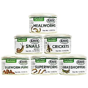 Canned Insect Assortment 6 Pack - Healthy High Protein Treat - For Hedgehogs, Sugar Gliders, Reptiles, Chickens, Lizards, Bearded Dragons, Turtles, Fish, Birds, Opossums, Skunks and other Insectivores