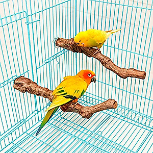 2 Packs Parrot Perch Stand,Natural Grapevine Wood Perch Parrots Cage Perch Toys Suitable for Small or Medium Parrots Parakeets Cockatiels Conures Lovebirds in Cage Accessories Supplies (Style-1)