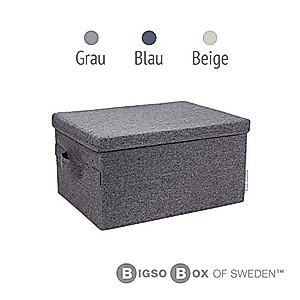 Bigso Soft Foldable Polyester Storage Box with Lid | Fabric Storage Bin with Lid and Handles for Closets and Rooms | Collapsible Storage Box for Clothes and More | 13.4″ x 17.7″ x 9.8” | Large | Grey