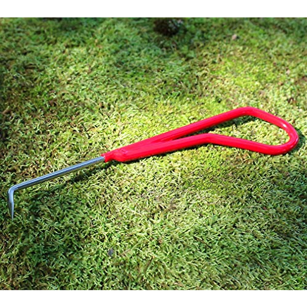 KAKURI Bonsai Root Hook, 8.6" Professional Bonsai Root Pick Tool, Japanese Stainless Steel, Red, Made in JAPAN