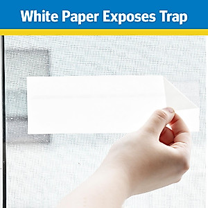 Raid Window Fly Traps, 4 Traps