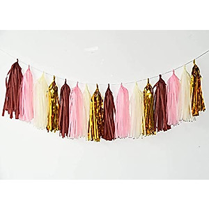 Qian's Party Burgundy Pink Birthday Party Decorations Burgundy Pink Gold Fall Birthday Decorations Tissue Paper Pom Pom Happy Birthday Banner/Burgundy Fall Birthday Decorations