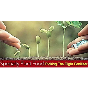 Orchid Nerd ® Osmocote Classic Flower and Vegetable Smart-Release Plant Food, 15 oz (14-14-14 Plant Fertilizer)