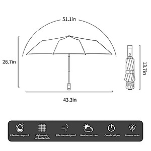 Cloudia Windproof Umbrella Travel Umbrella Easy Compact Folding Reverse Umbrella (Black)