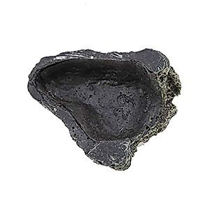 TOPINCN Fish Hiding Cave Aquarium Non-Toxic High Simulation Crawling Turtle Reptile Basking Hide Habitat Tank Decoration Ornament(Small)